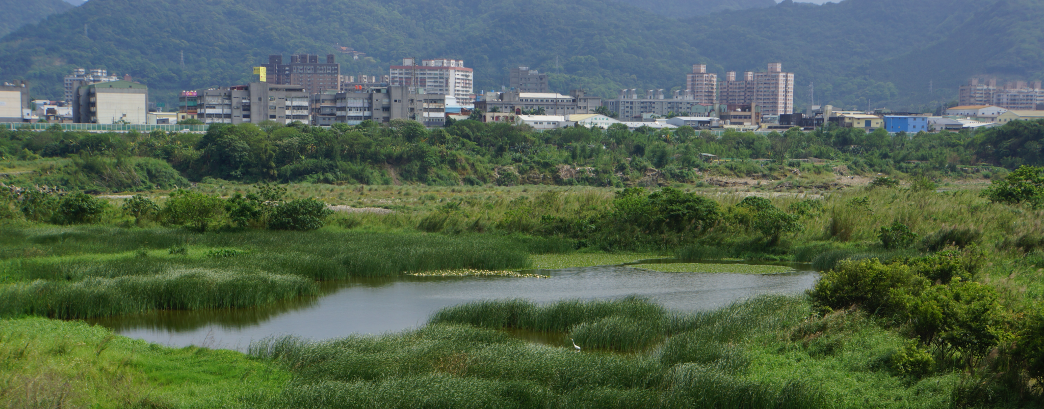 Understanding Ecosystem Restoration—and Regeneration – Possible Planet